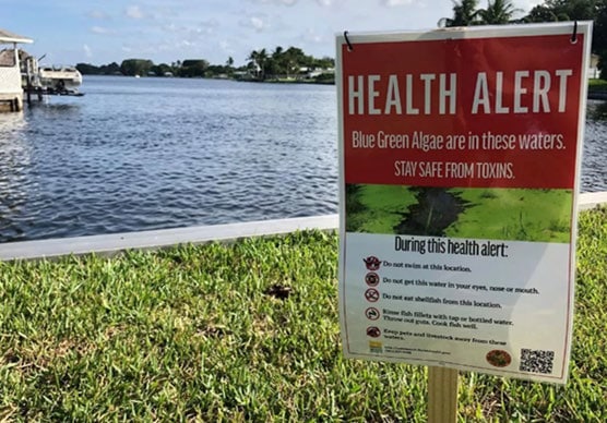 Examining Long-term Exposure to Algal Blooms: Protecting Florida’s ...